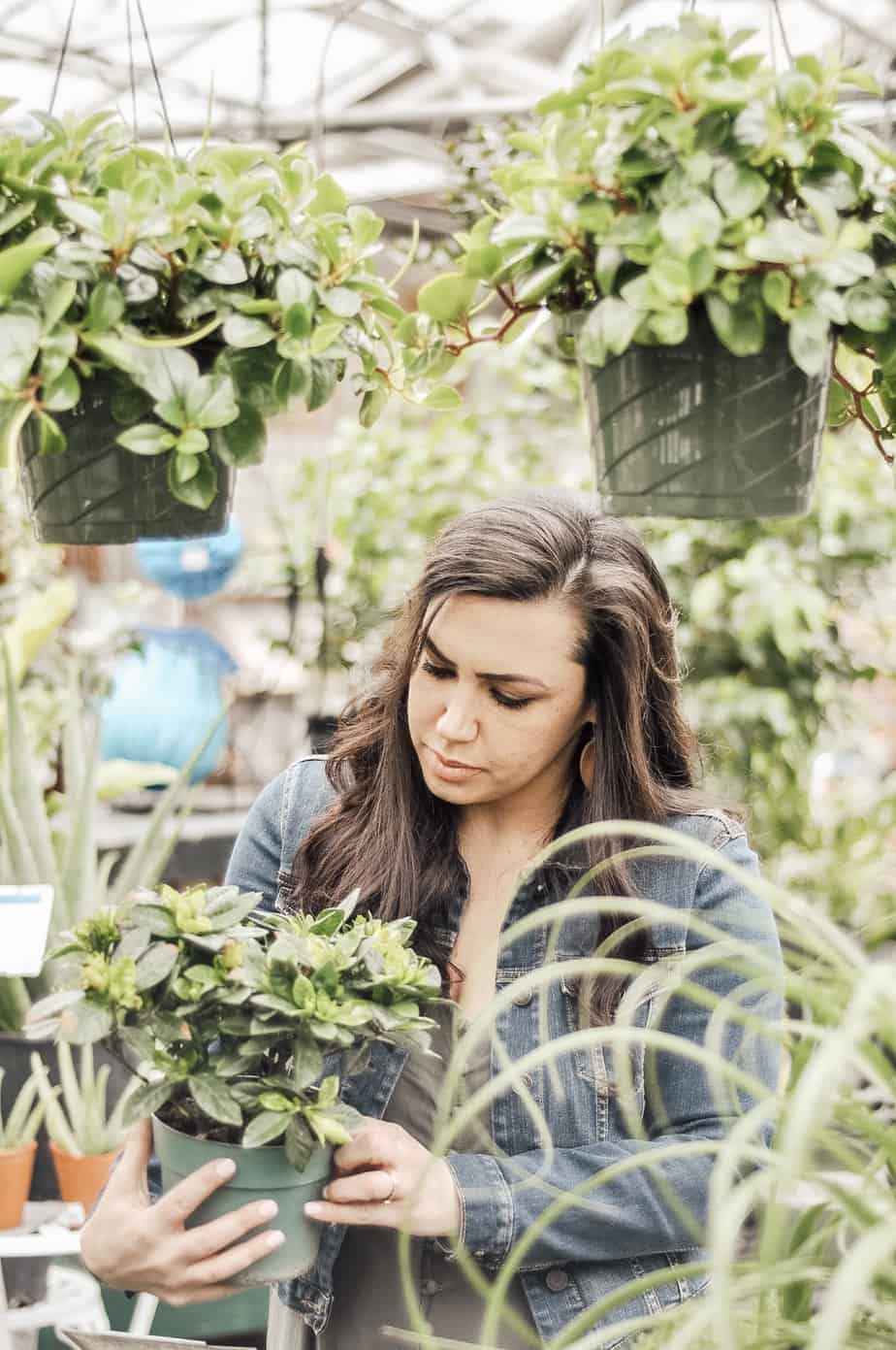 Plant care for the plant killer! - The Farmhouse Life
